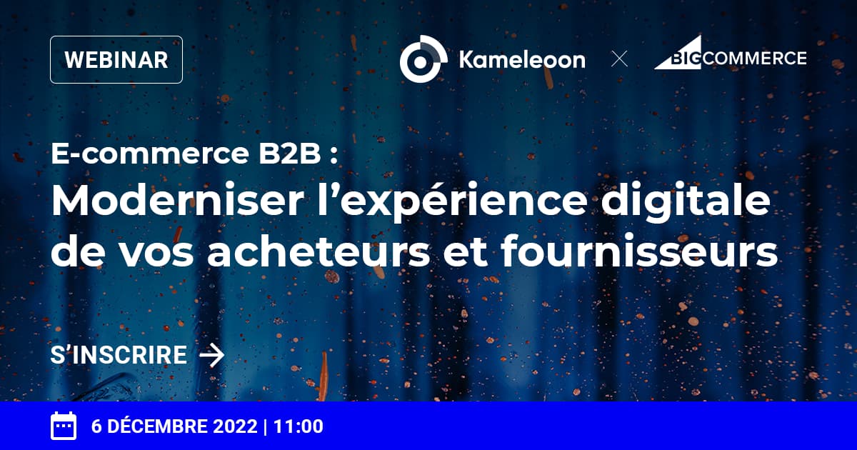Kameleoon | Webinar E-commerce B2B